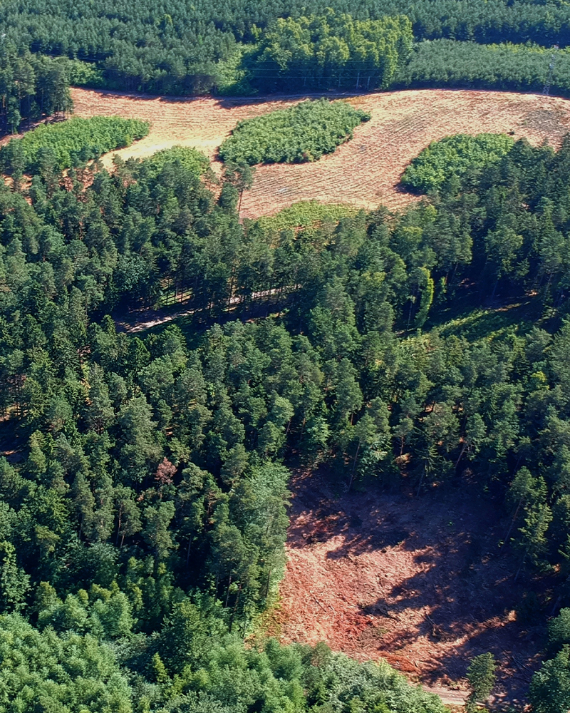 Selective vs. Clearcutting - AJ Logging